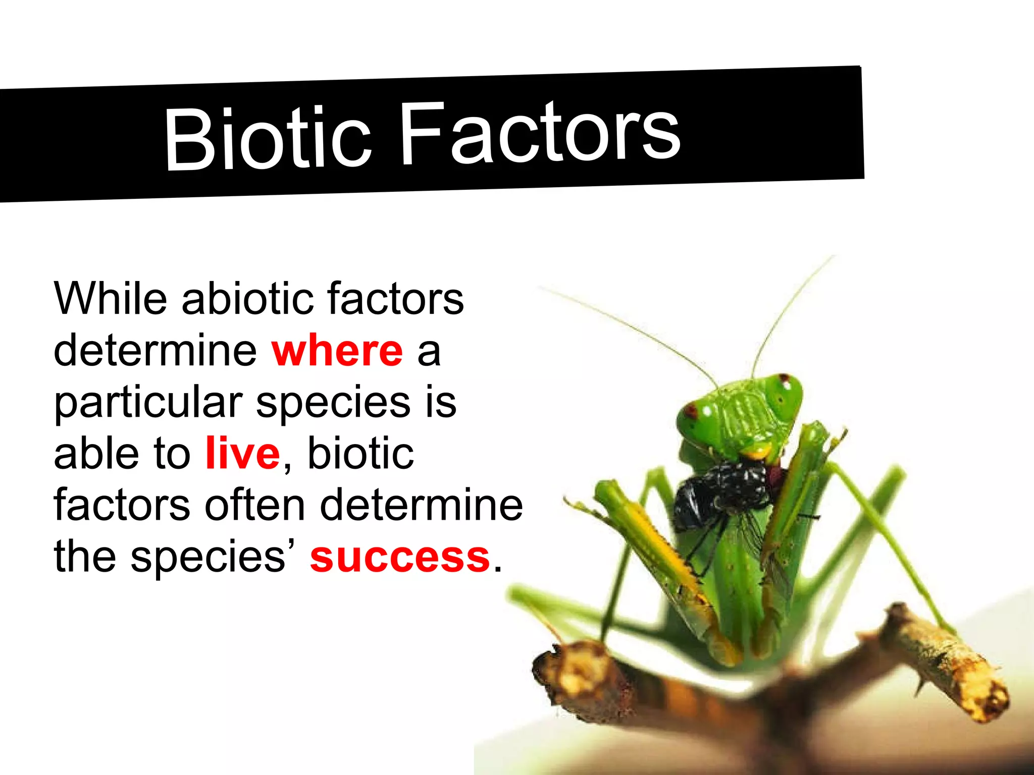 Biotic and Abiotic Factors | PPT
