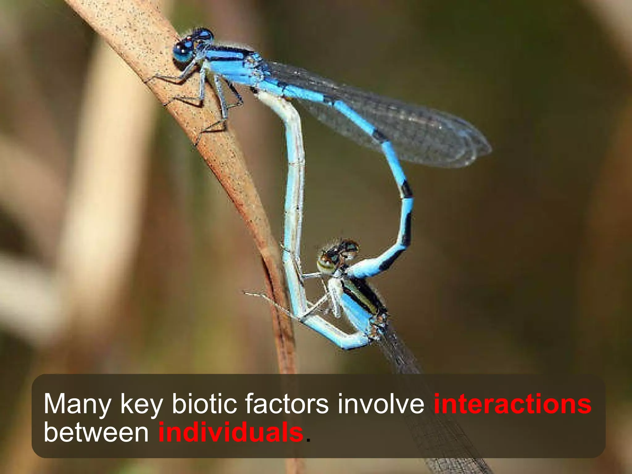 Biotic and Abiotic Factors | PPT