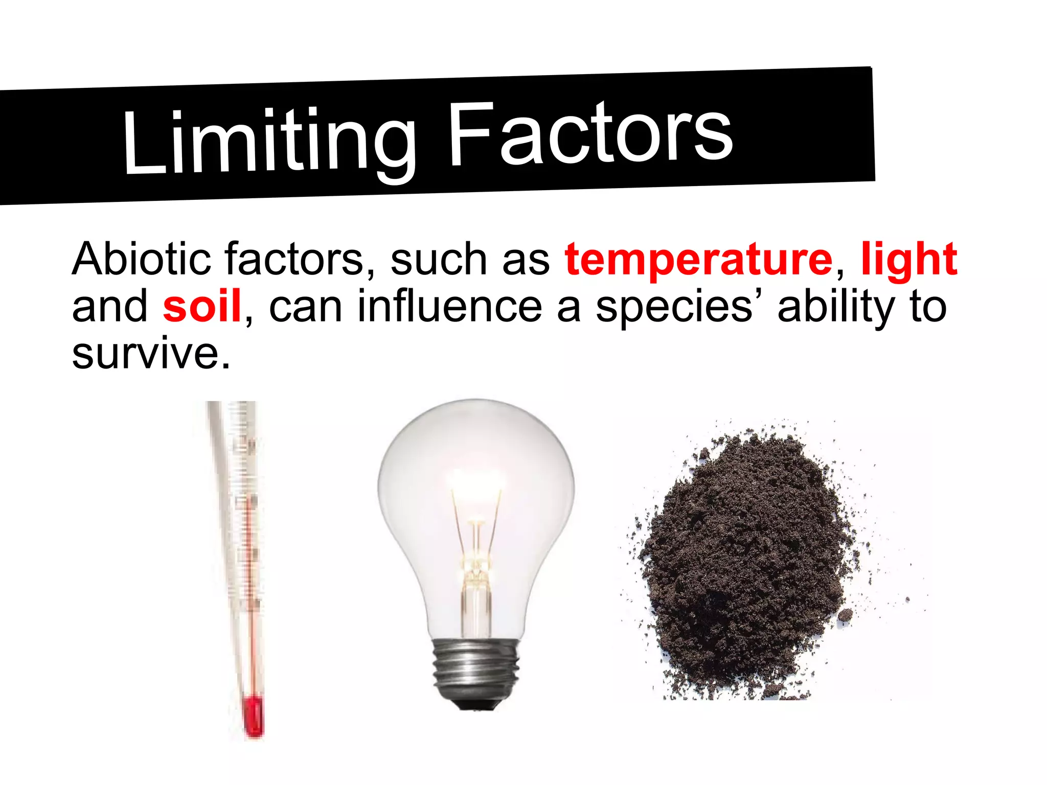 Biotic and Abiotic Factors | PPT