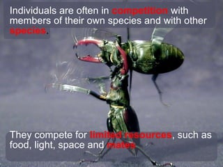 Biotic and Abiotic Factors | PPT