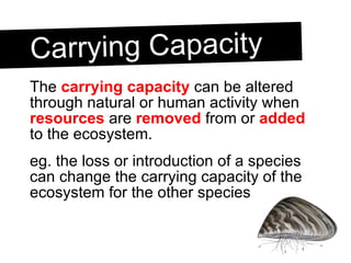 Biotic and Abiotic Factors | PPT