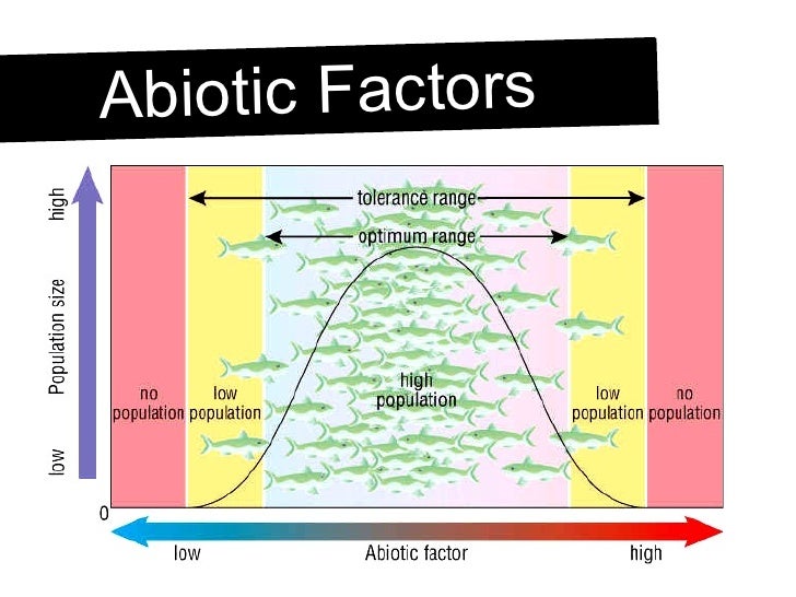 Biotic And Abiotic Factors Biotic And Abiotic Factors