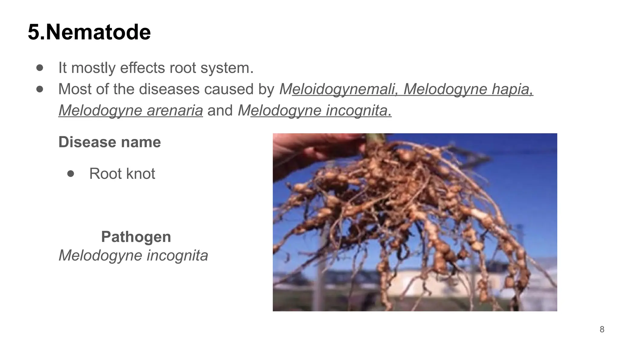 Brief presentation on Biotic and Abiotic factors.pptx