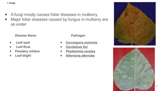 Brief presentation on Biotic and Abiotic factors.pptx