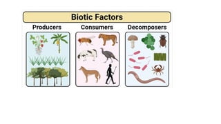 Biotic and abiotic factors of ecosystem. | PPTX