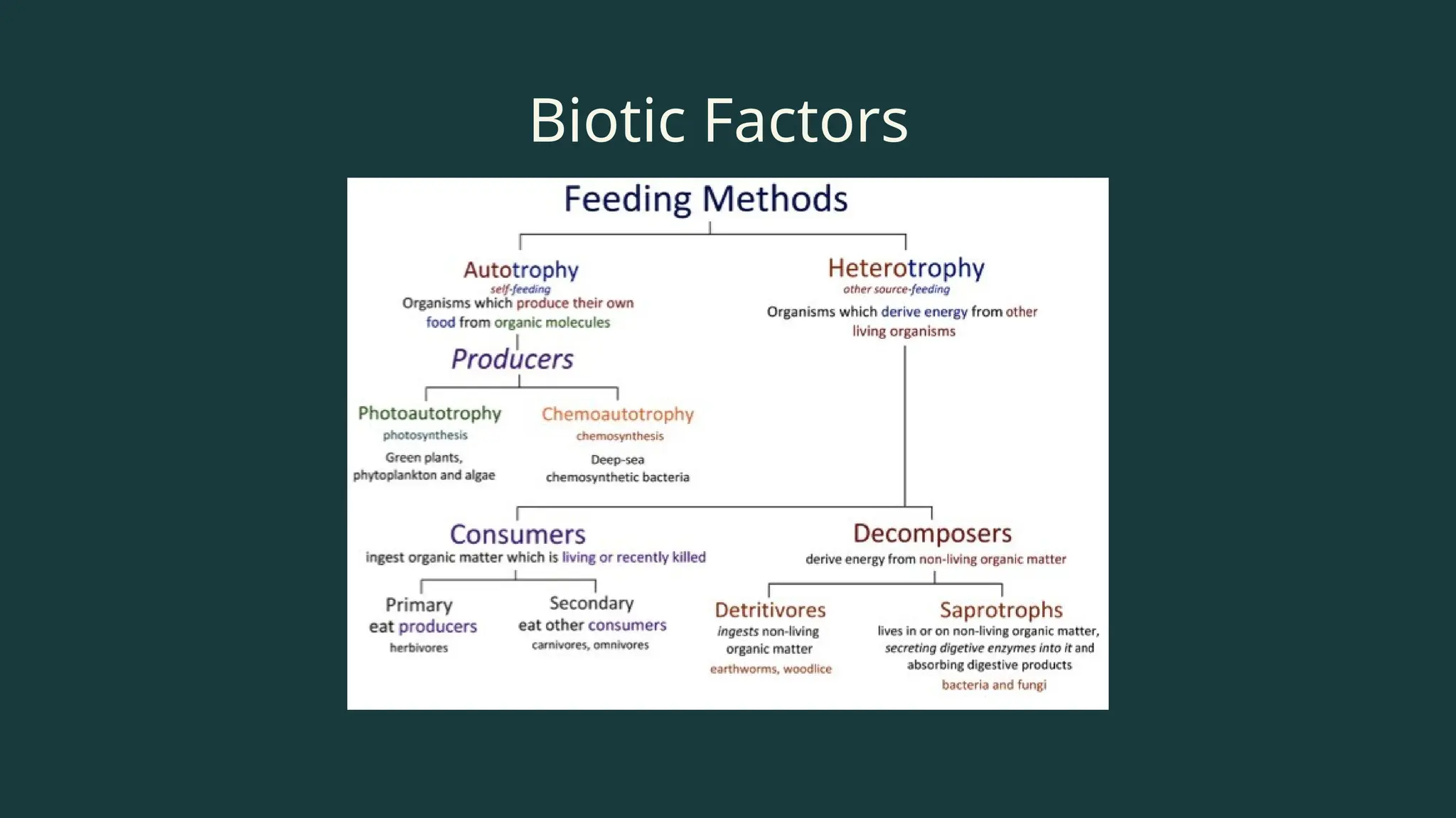 Biotic and Abiotic Factors in the Environment Science Presentation in ...