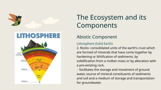 Biotic and Abiotic Factors in the Environment Science Presentation in ...