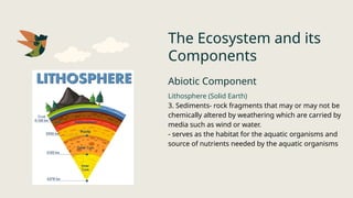 Biotic and Abiotic Factors in the Environment Science Presentation in ...