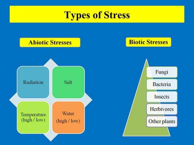Biotic and abiotic stress in agriculture