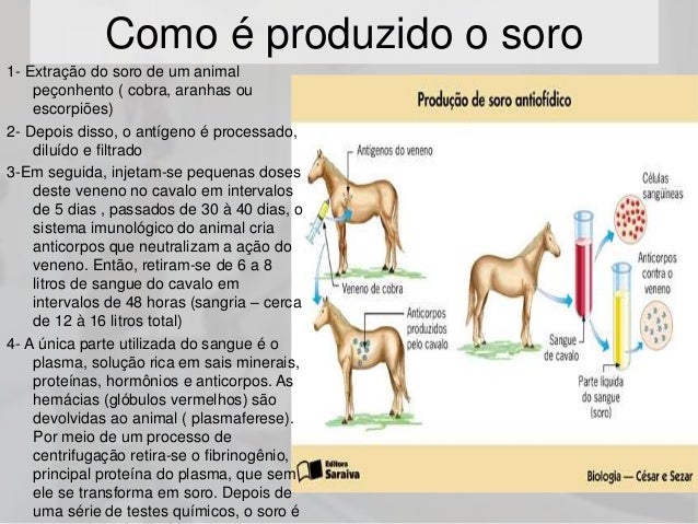 Bioética na produção do soro antiofídico