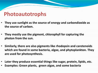 Biotic and abiotic factor of environment | PPTX