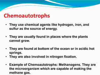 Biotic and abiotic factor of environment | PPTX