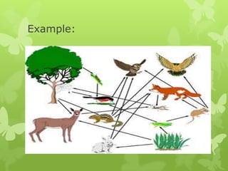 Bioticcomponents | PPSX