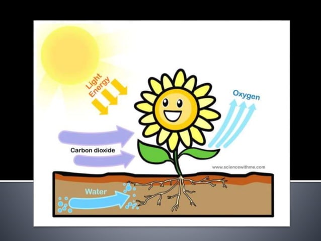 Biotic components | PPTX