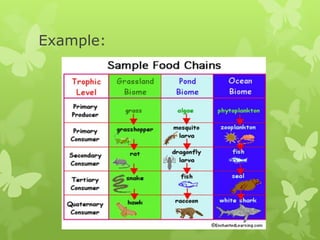Biotic components of an ecosystem | PPSX