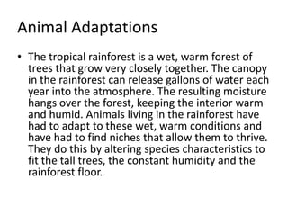 Biotic and abiotic factors | PPTX