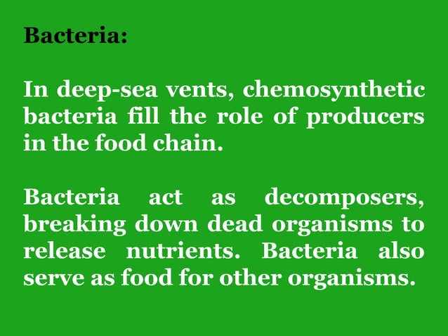 Biotic Factors in an Ecosystem | PPTX | Geography | Science