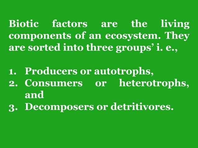 Biotic Factors in an Ecosystem | PPTX | Geography | Science