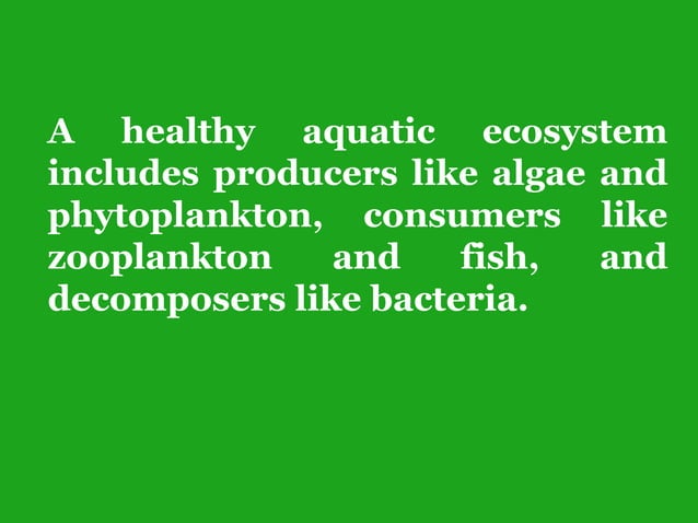 Biotic Factors in an Ecosystem | PPTX | Geography | Science