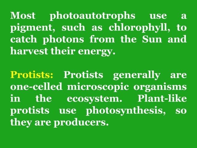 Biotic Factors in an Ecosystem | PPTX | Geography | Science