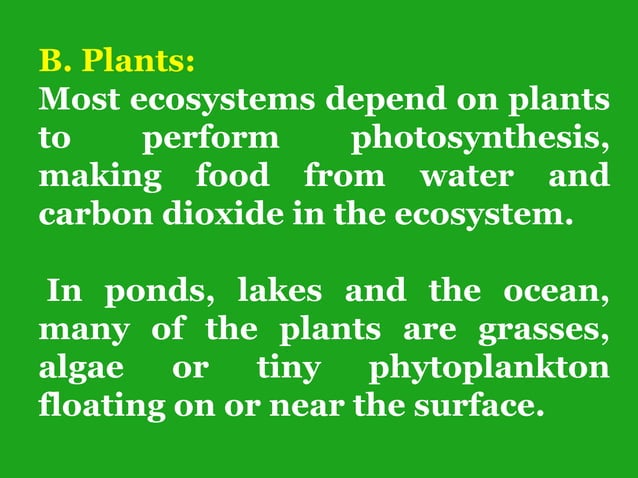 Biotic Factors in an Ecosystem | PPTX | Geography | Science