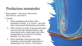 Biotic factors affecting nematodes-1.pptx