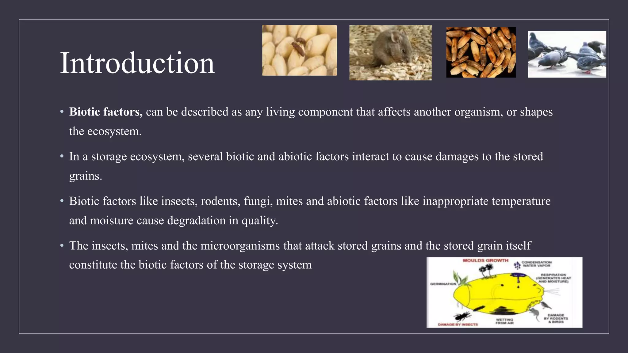 Biotic factors in grain storage | PPTX