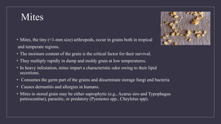 Biotic factors in grain storage | PPTX