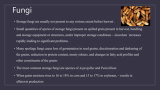 Biotic factors in grain storage | PPTX