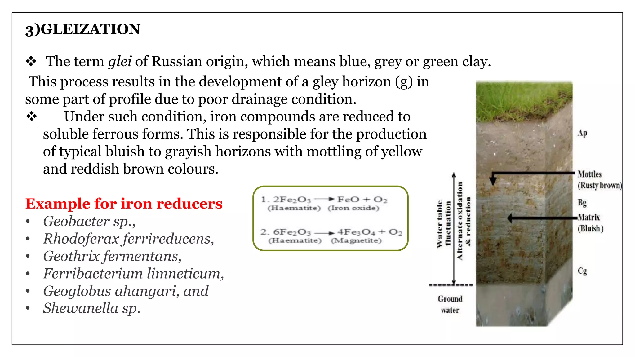 Biotic factors in soil formation,soil aggregation | PPTX