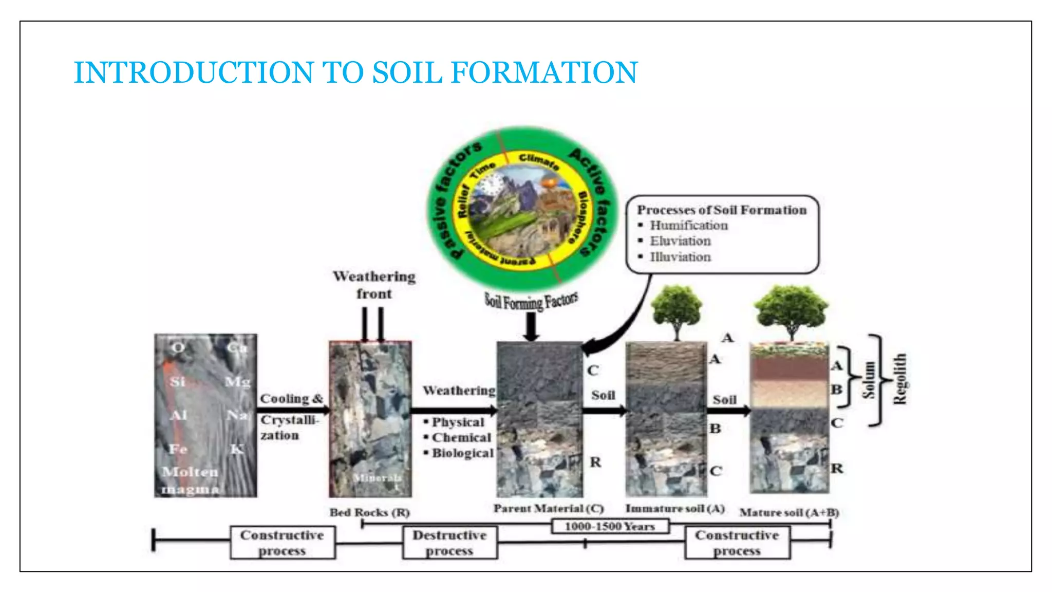 Biotic factors in soil formation,soil aggregation | PPTX