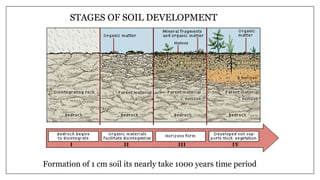 Biotic factors in soil formation,soil aggregation | PPTX