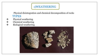 Biotic factors in soil formation,soil aggregation | PPTX