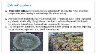 Biotic factors in soil formation,soil aggregation | PPTX