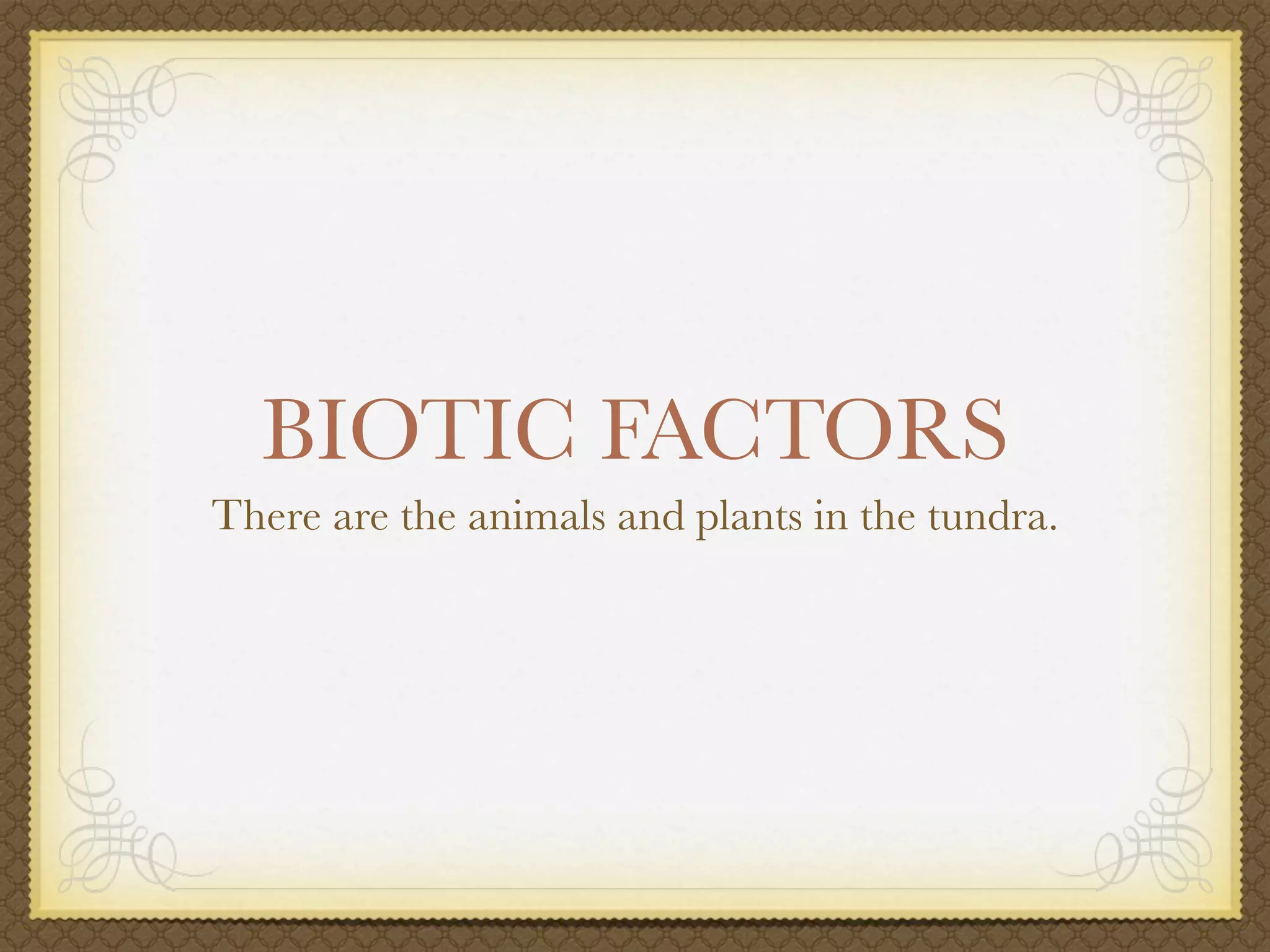 Biotic Factors Slide Show | KEY