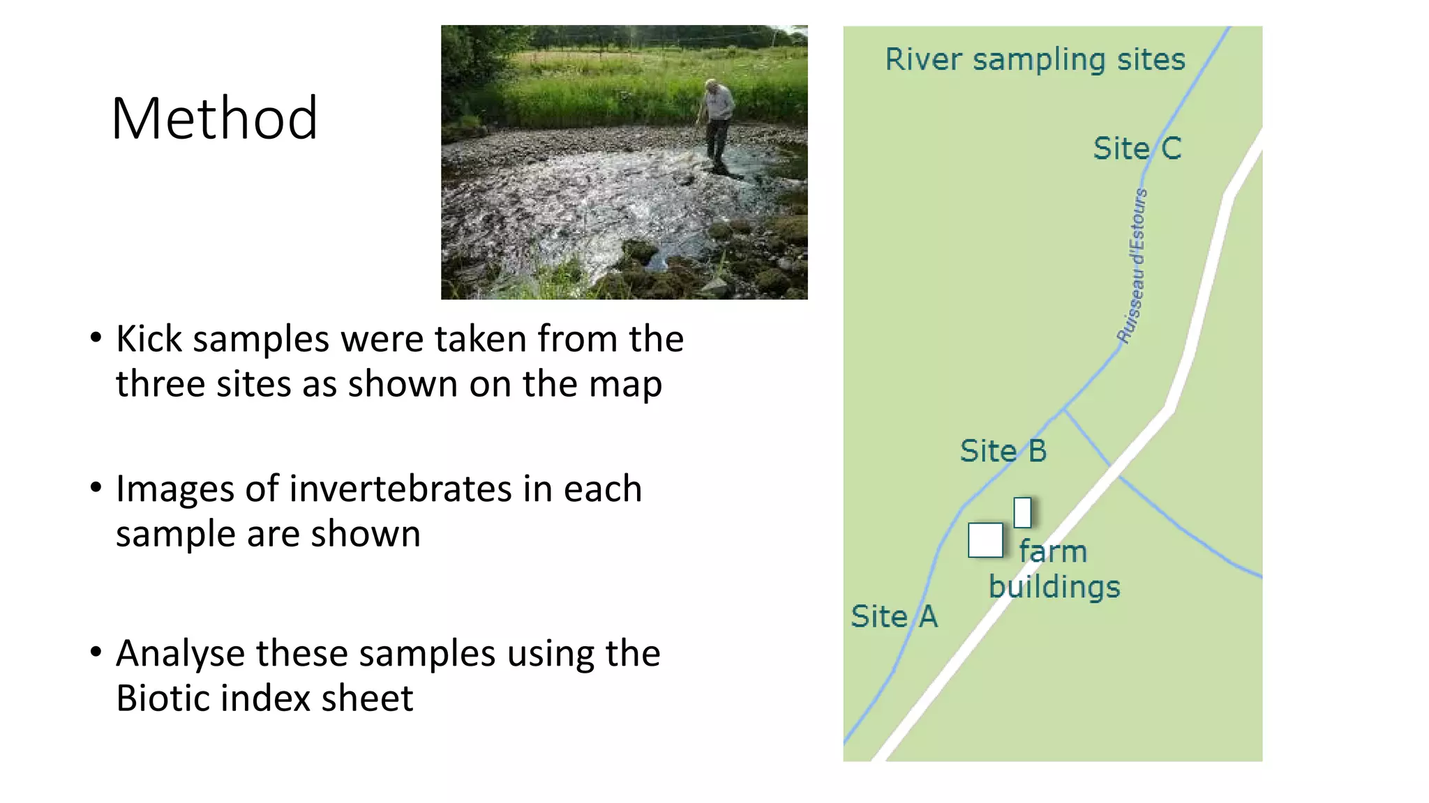 Biotic index online river sampling activity | PDF