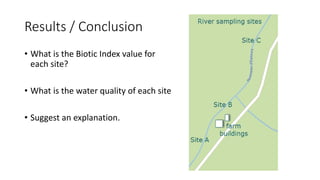 Biotic index online river sampling activity | PDF