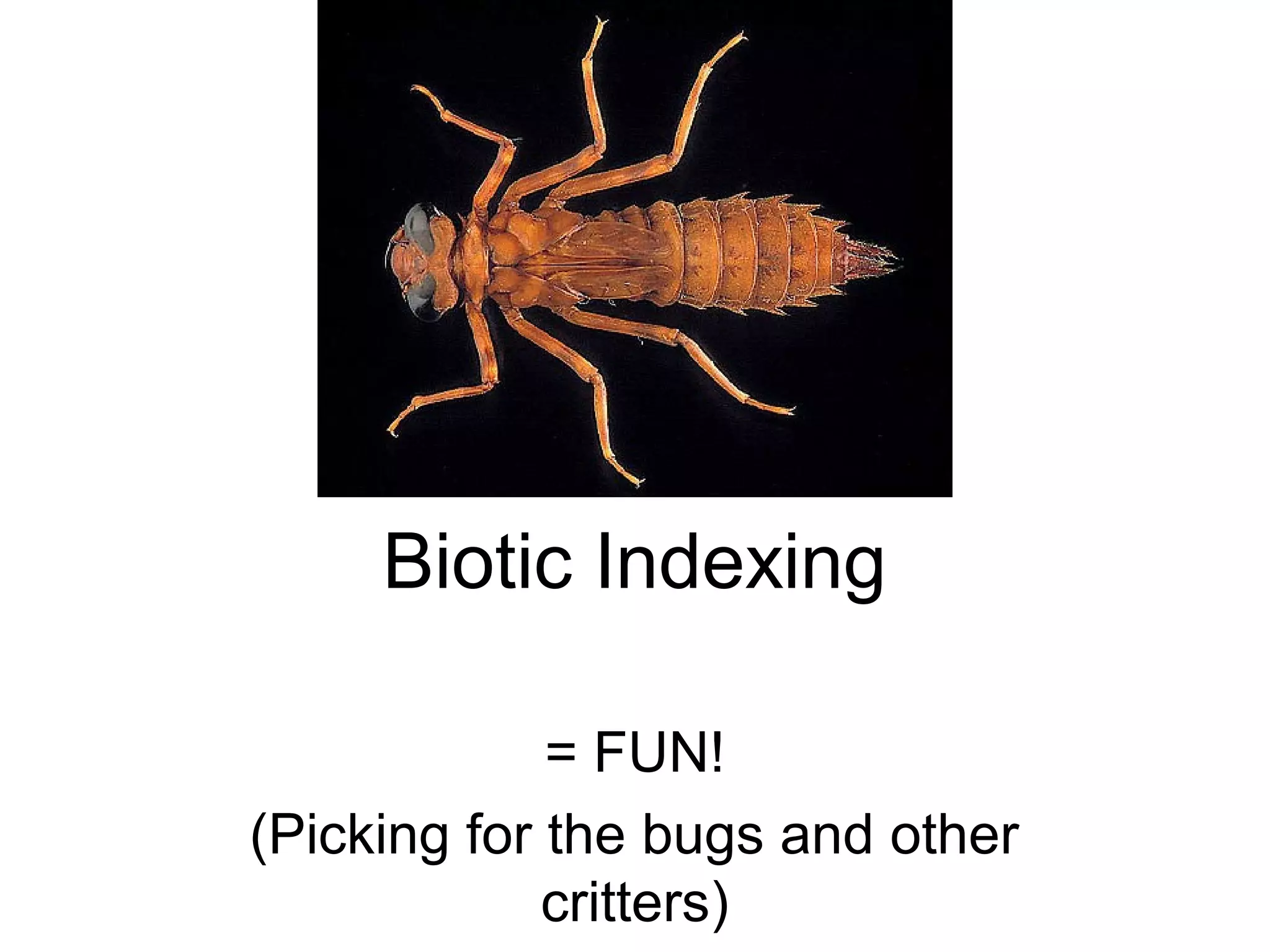 Biotic indexing | PPT | Geography | Science