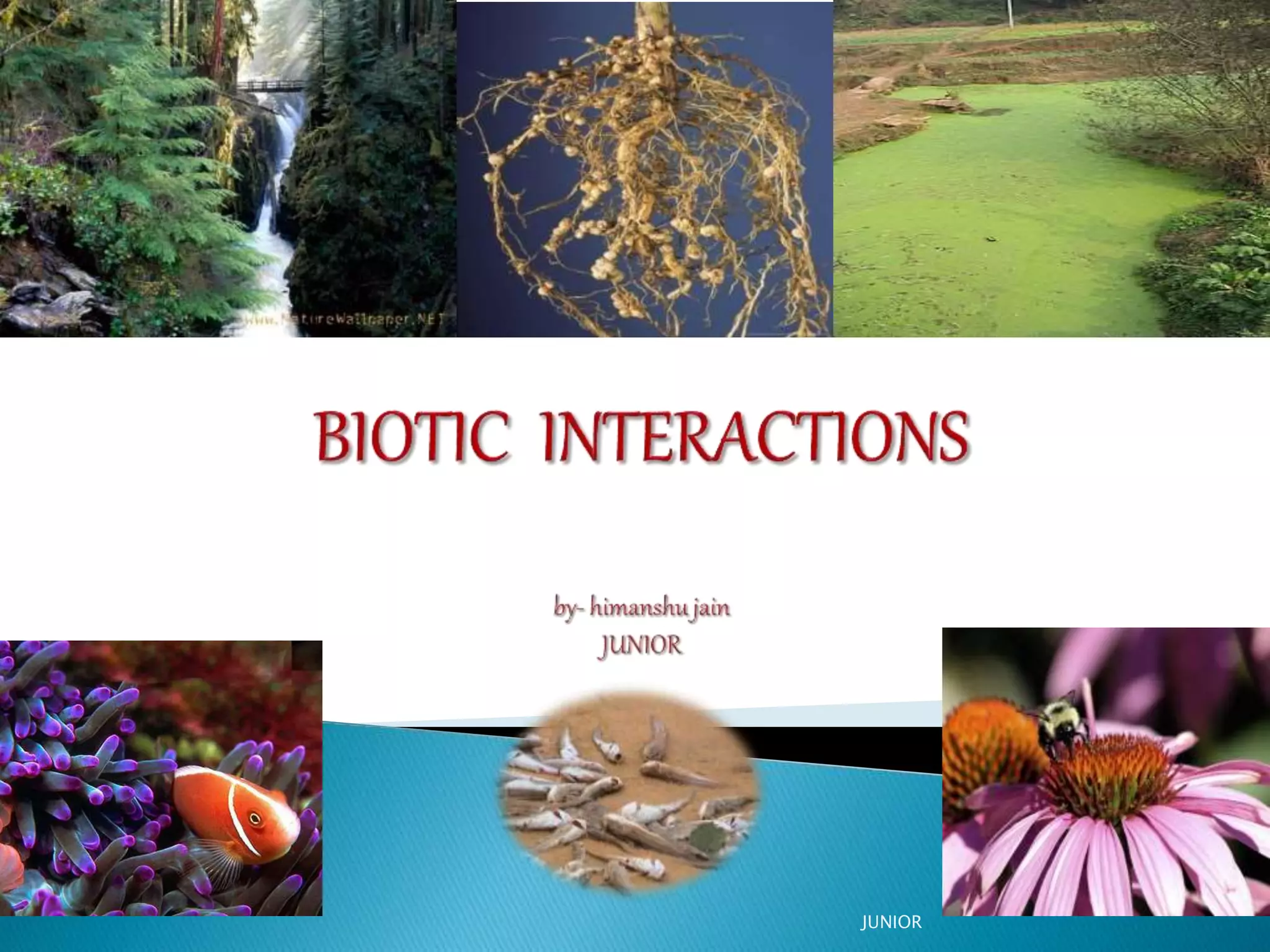 Biotic interactions | PPT