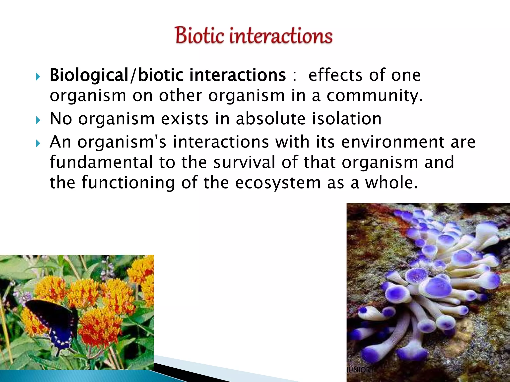 Biotic interactions | PPT