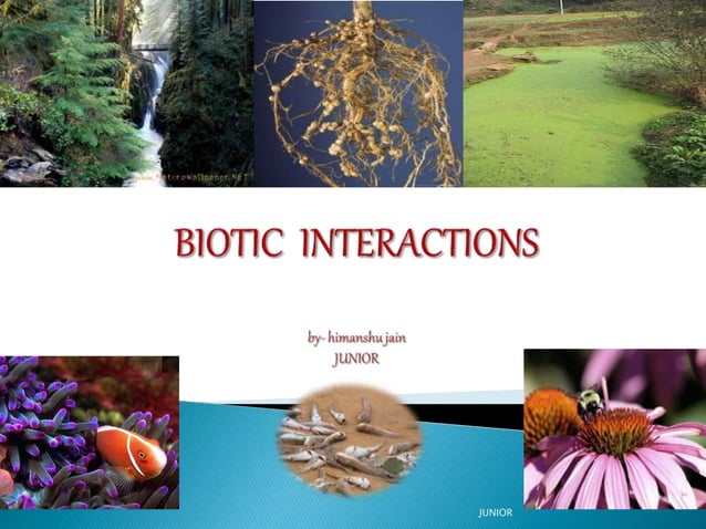 Biotic interactions | PPT | Gardening | Home & Garden