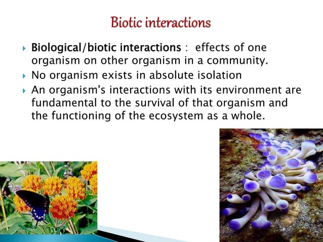 Biotic interactions | PPT | Gardening | Home & Garden
