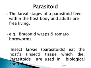 Biotic interactions | PPT