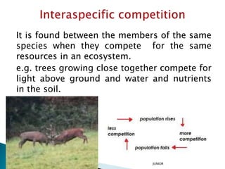 Biotic interactions | PPT
