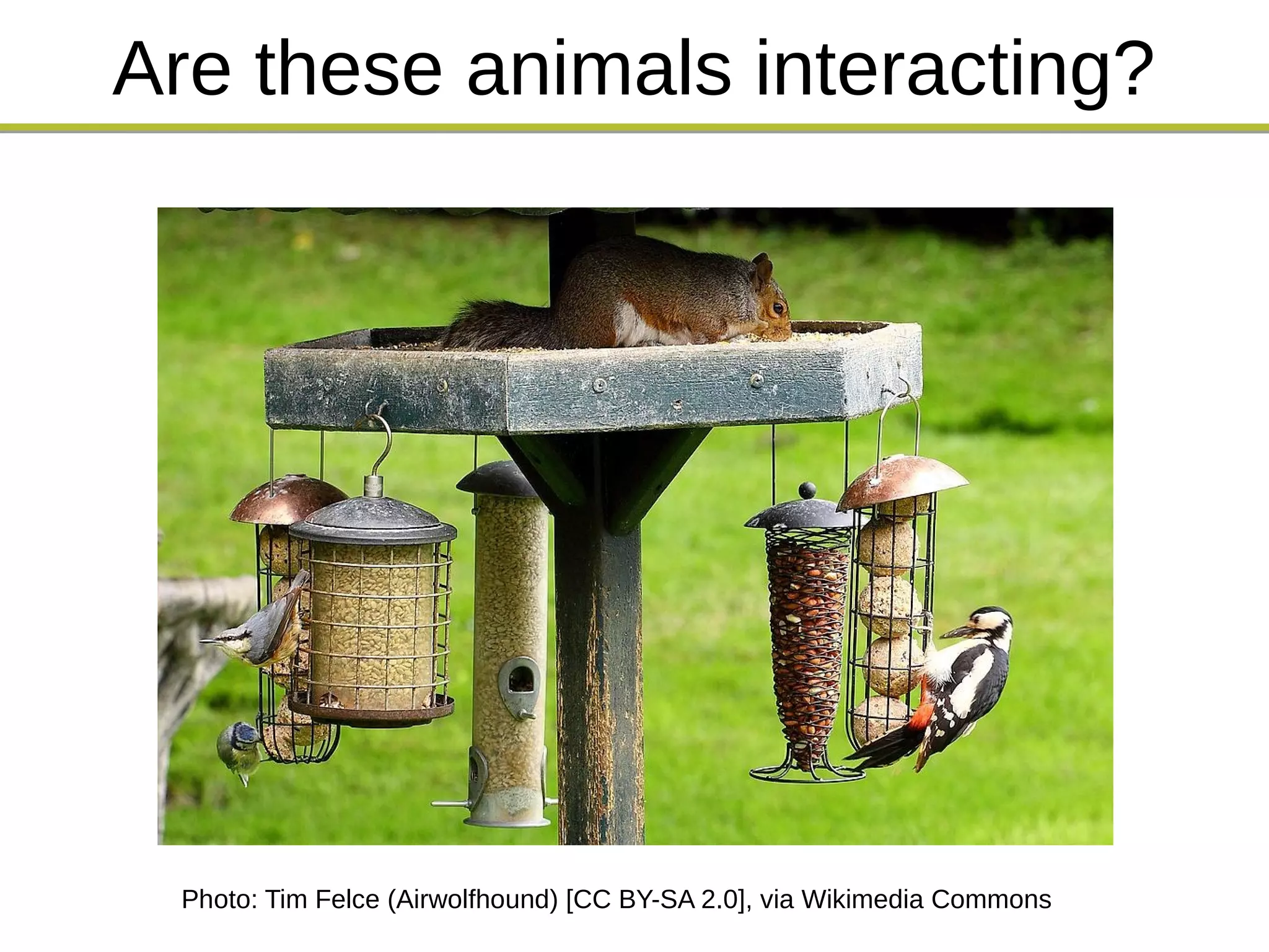 What, exactly, is a biotic interactions? | PDF