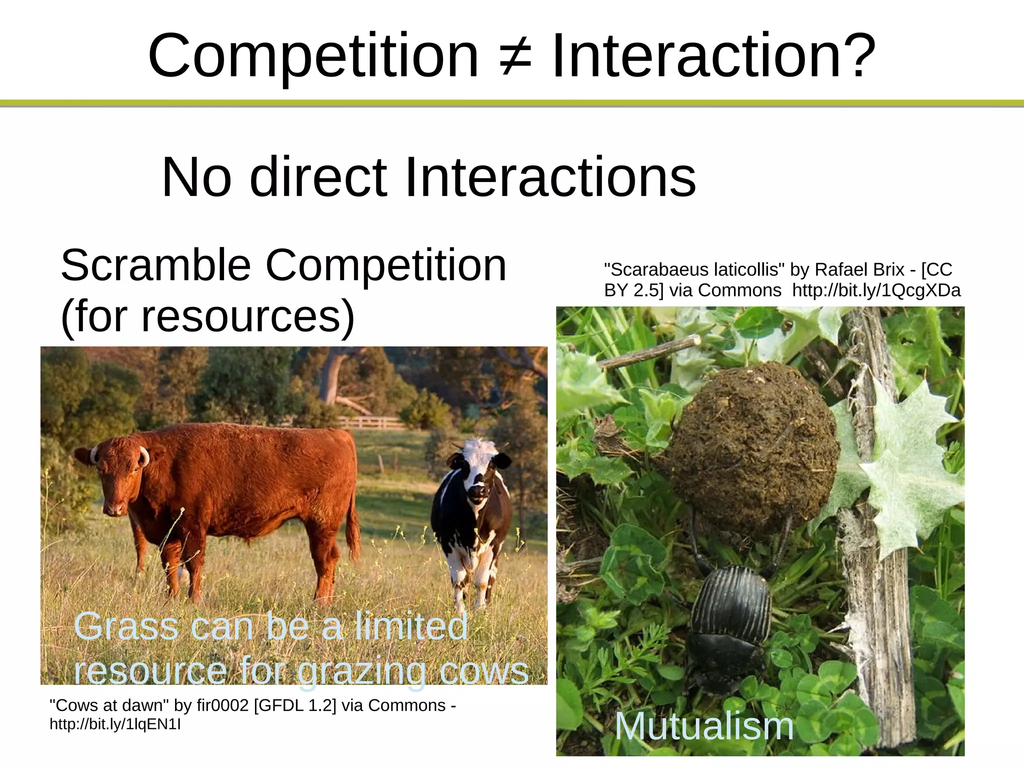 What, exactly, is a biotic interactions? | PDF