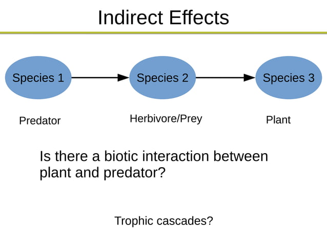 What, exactly, is a biotic interactions? | PPT