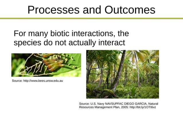What, exactly, is a biotic interactions? | PPT