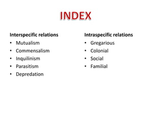 Biotic relations by Andreu Rueda | PPT