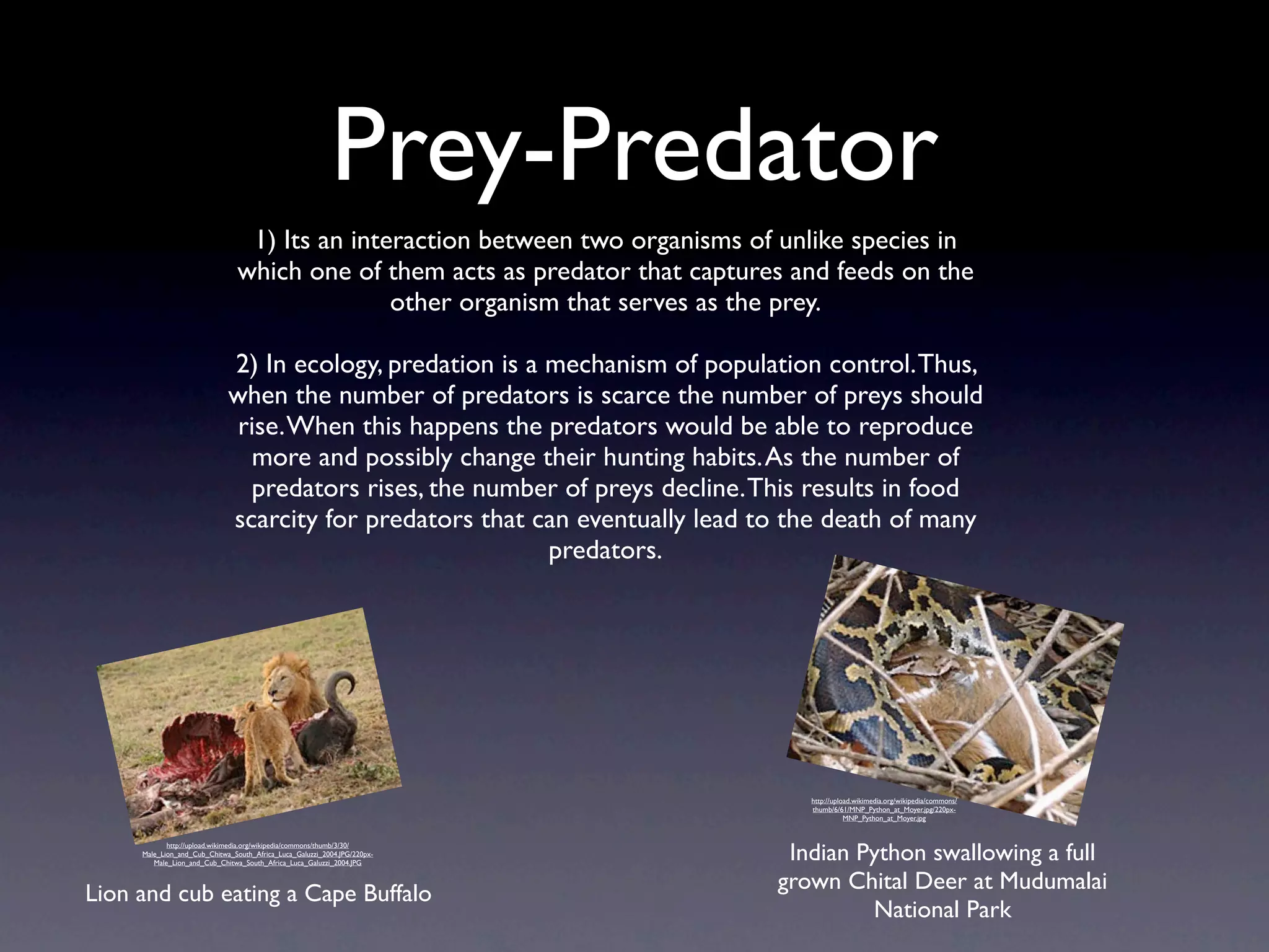 Biotic relationships | KEY | Biological Sciences | Science